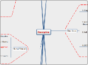 Perception ecologist vs. constructionist - Mind Map